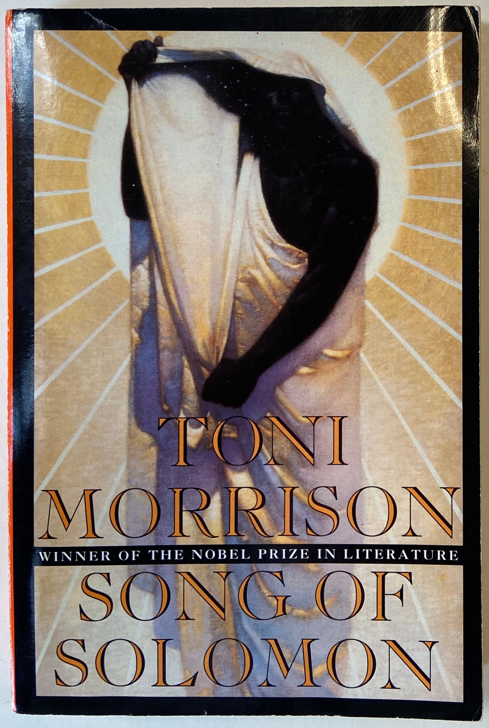 Toni Morrison Song Of Solomon