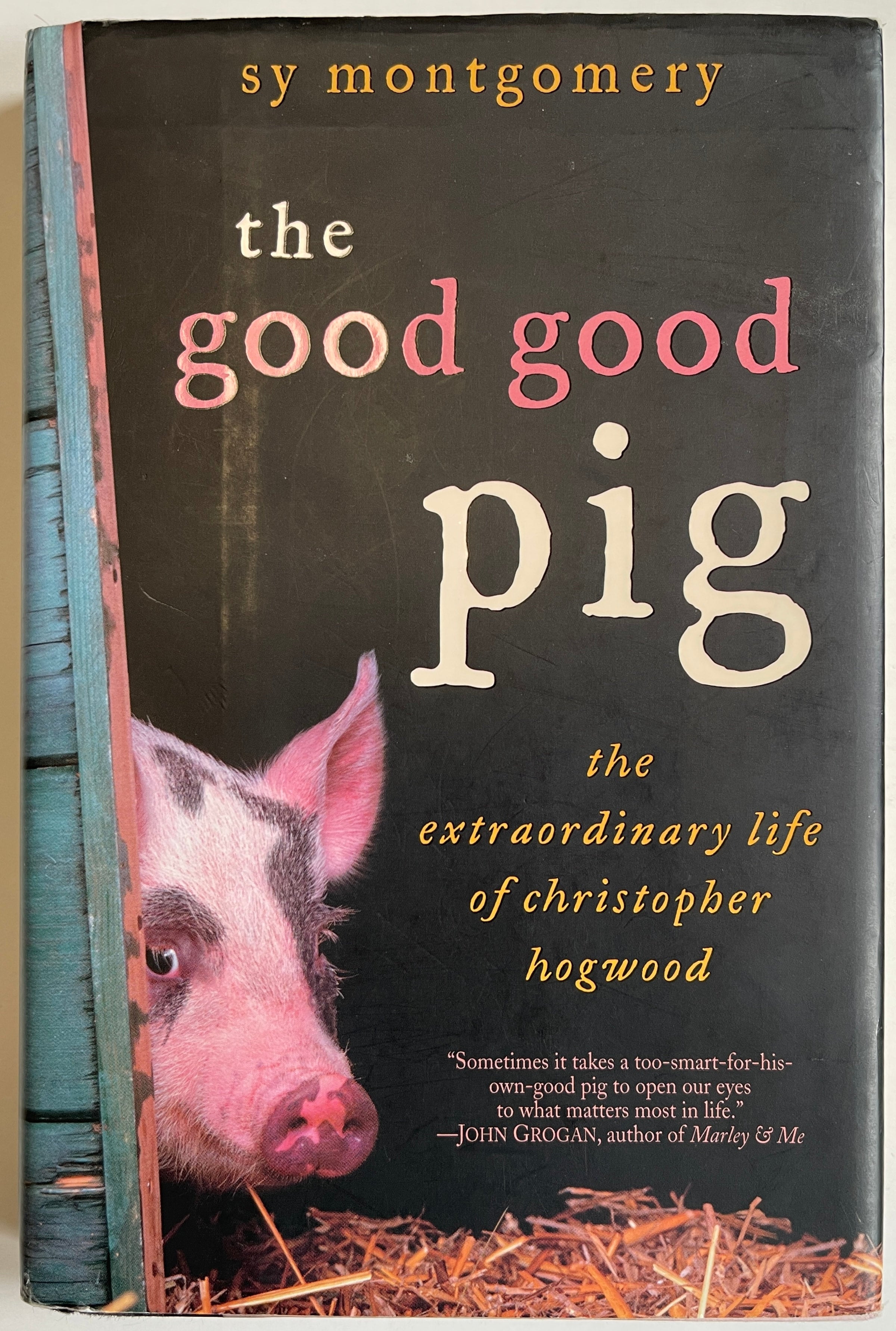 Extraordinary Pigs